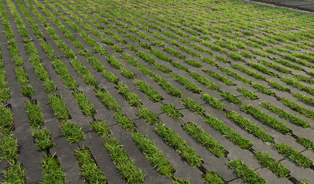 บล็อกปูพื้น เอสซีจี รุ่น ไลน์ เทิร์ฟ สีเทา – KPP Corp ศูนย์รวมวัสดุ ...